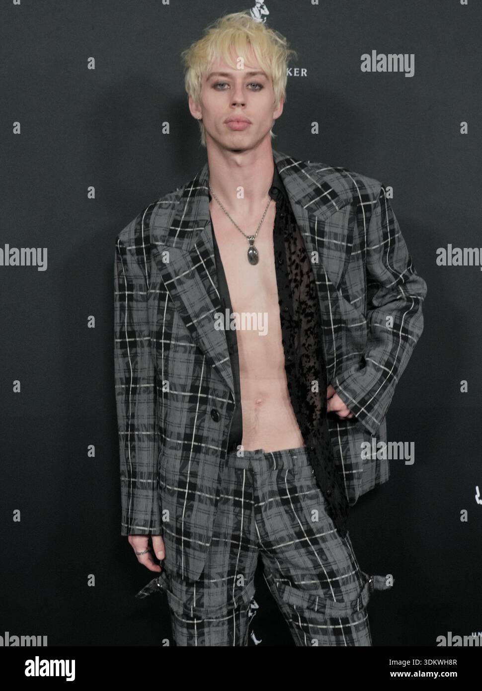 Haiden at the Universal Music Group Grammy Awards After Party held at ...