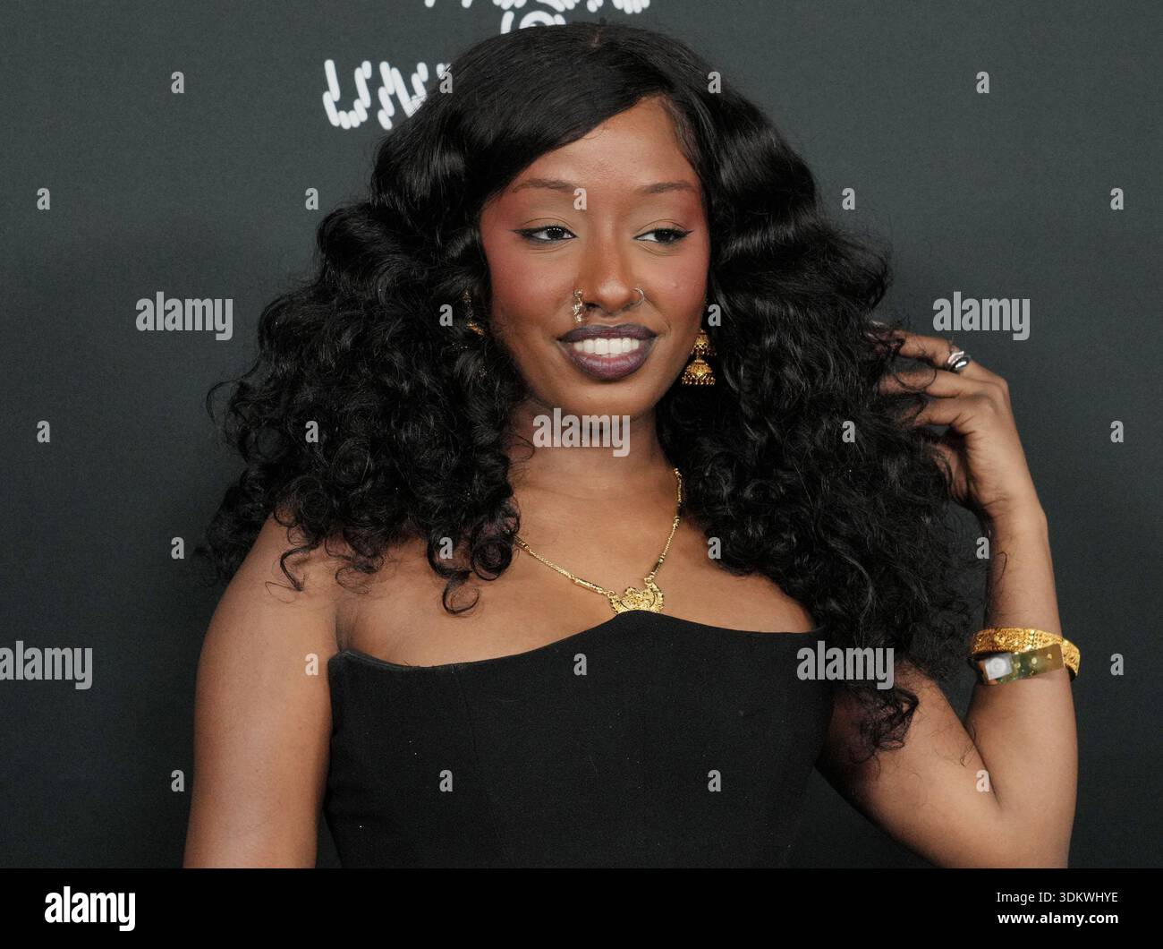 Alemeda at the Universal Music Group Grammy Awards After Party held at ...
