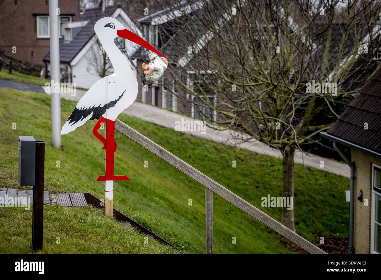 STREEFKERK - A stork with a baby in its mouth. ROBIN UTRECHT /ANP ...