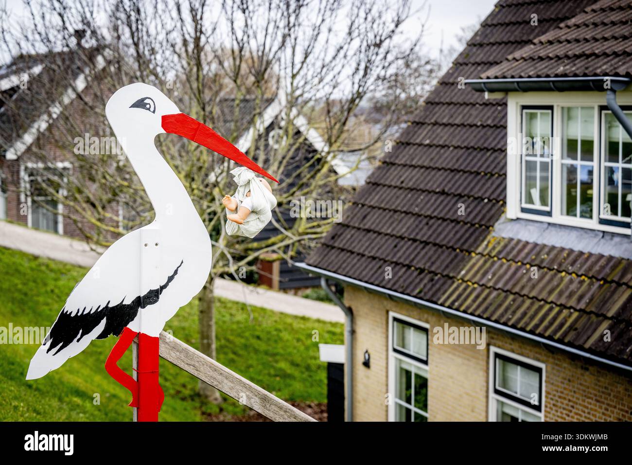 STREEFKERK - A stork with a baby in its mouth. ROBIN UTRECHT /ANP ...