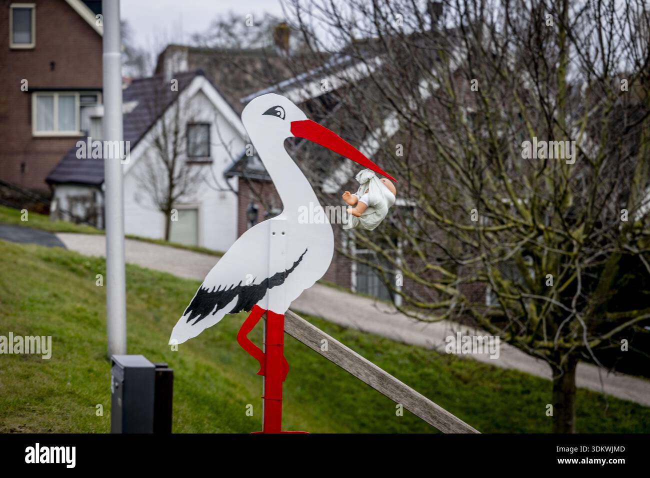 STREEFKERK - A stork with a baby in its mouth. ROBIN UTRECHT /ANP ...