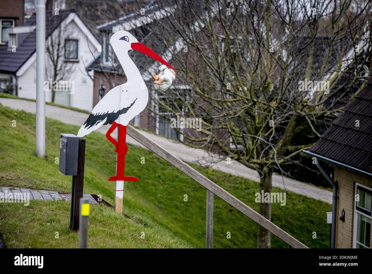 STREEFKERK - A stork with a baby in its mouth. ROBIN UTRECHT /ANP ...