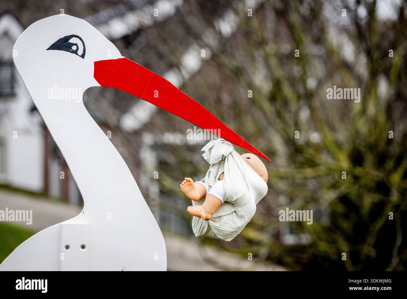 STREEFKERK - A stork with a baby in its mouth. ROBIN UTRECHT /ANP ...