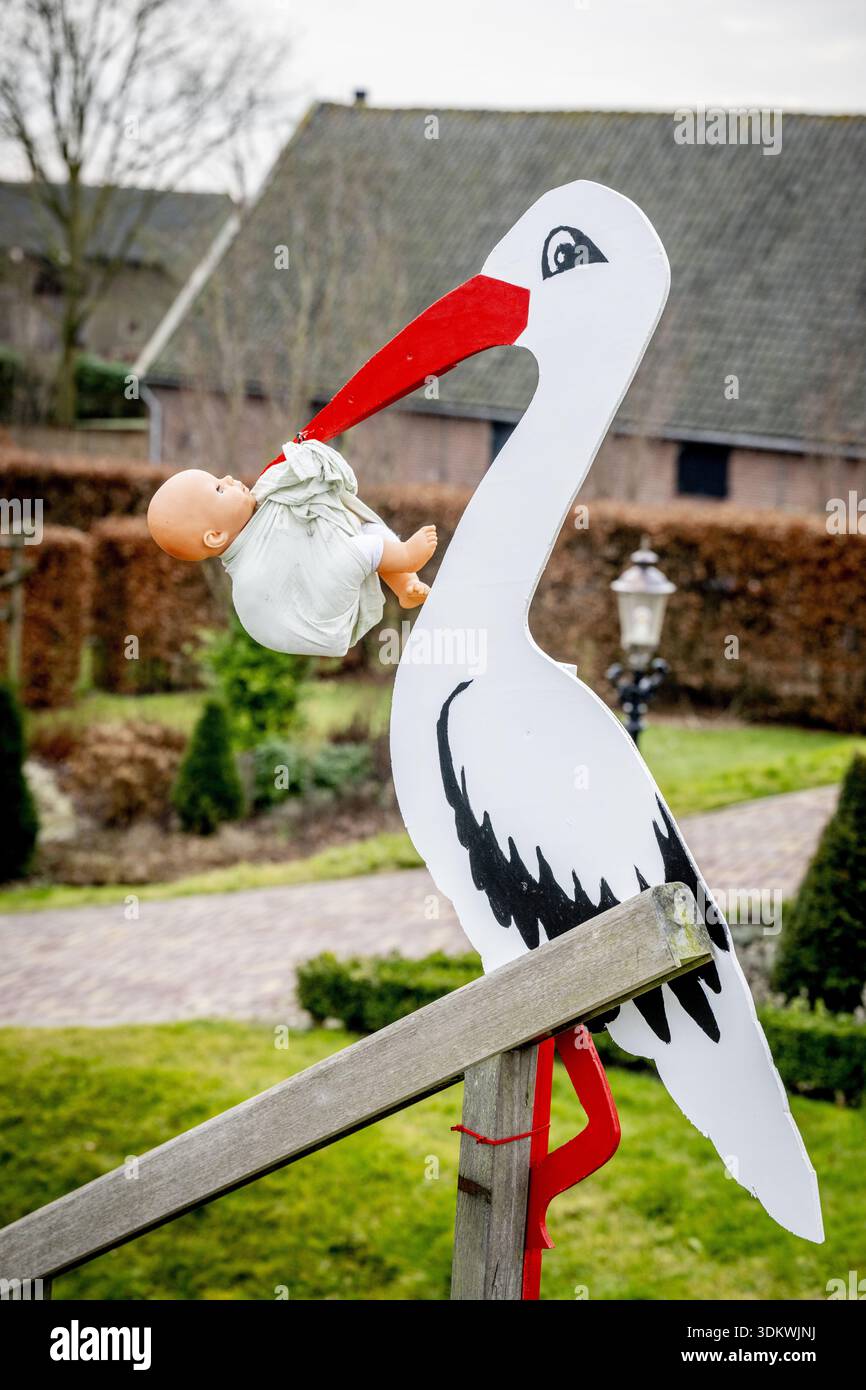 STREEFKERK - A stork with a baby in its mouth. ROBIN UTRECHT /ANP ...