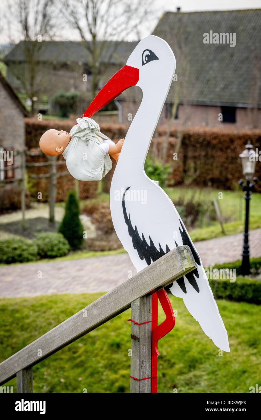 STREEFKERK - A stork with a baby in its mouth. ROBIN UTRECHT /ANP ...