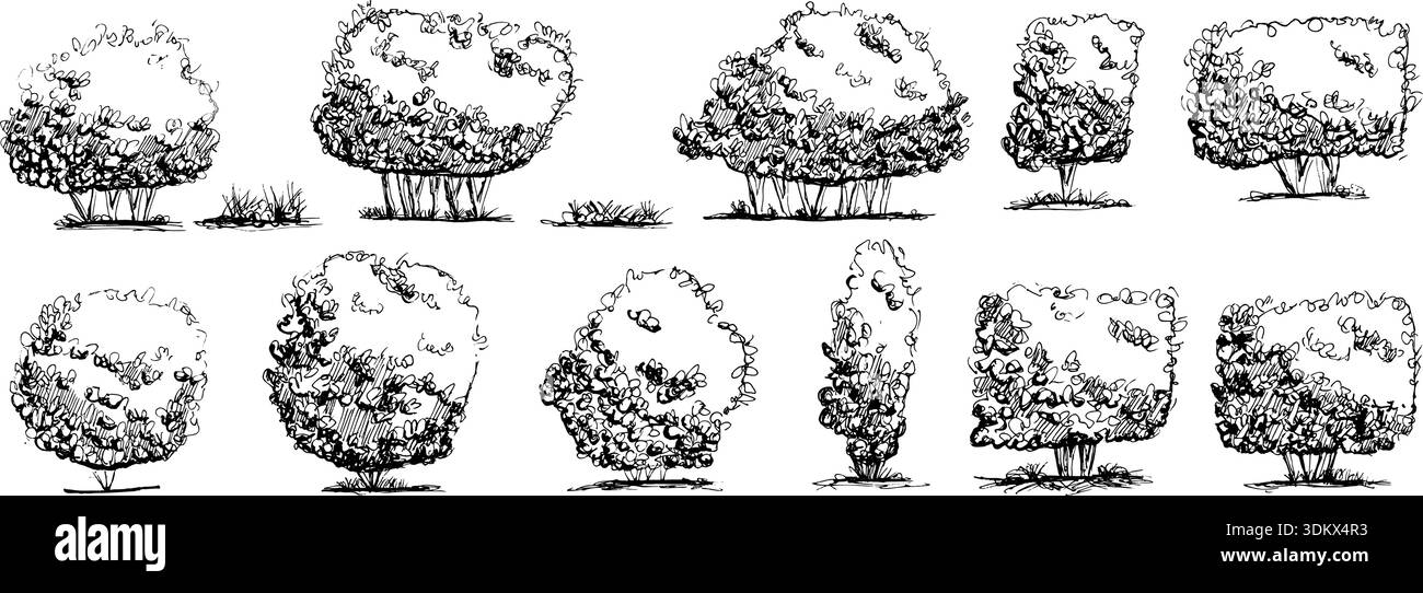 Cypress topiary garden Stock Vector Images - Alamy