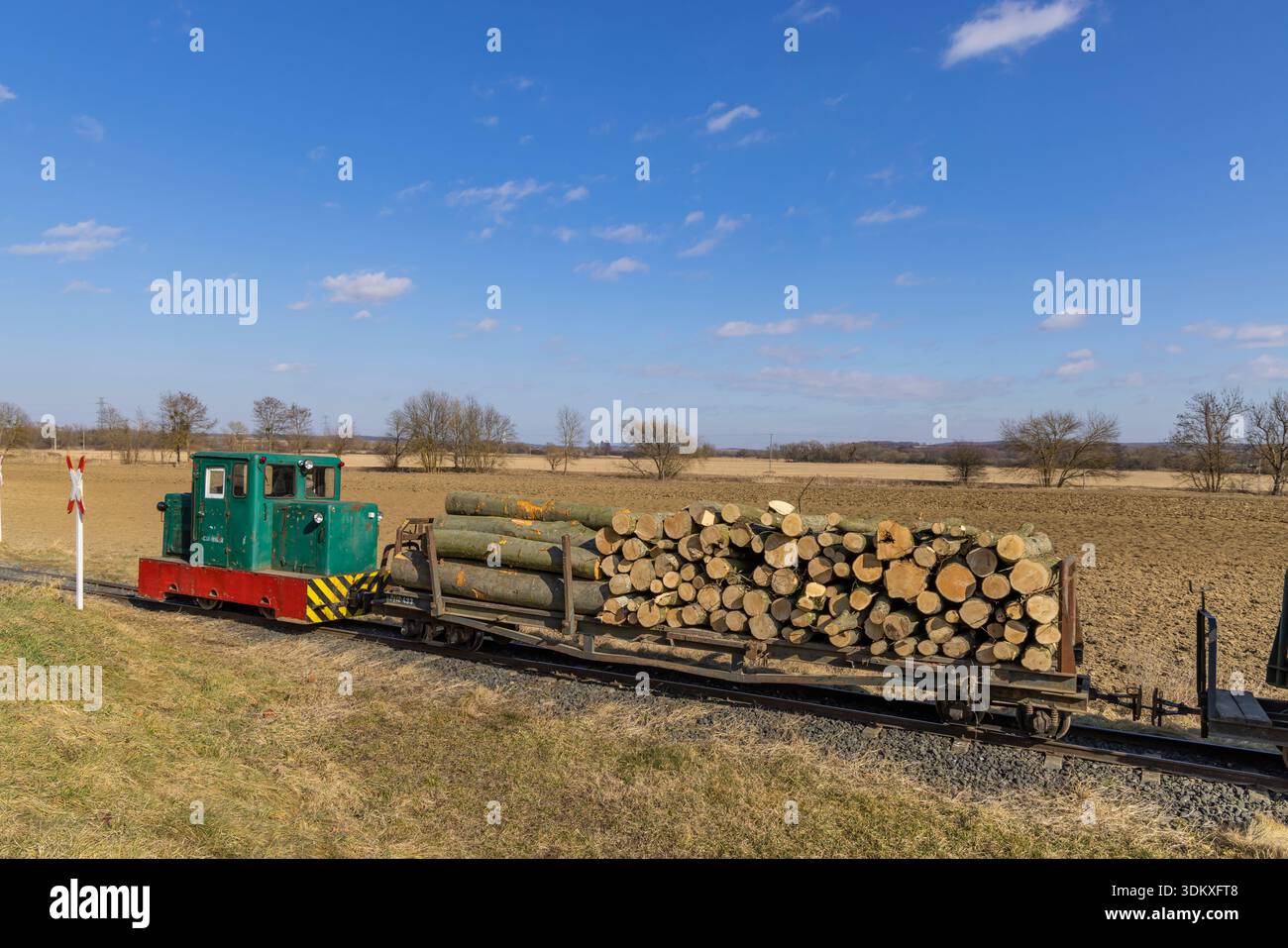 Diesel locomotive pulling a wagon loaded with timber on a narrow gauge ...