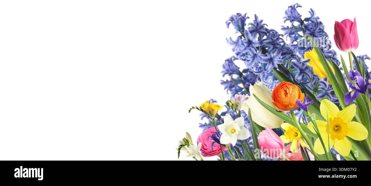 Bouquet of spring flowers on white background, banner design. Space for ...