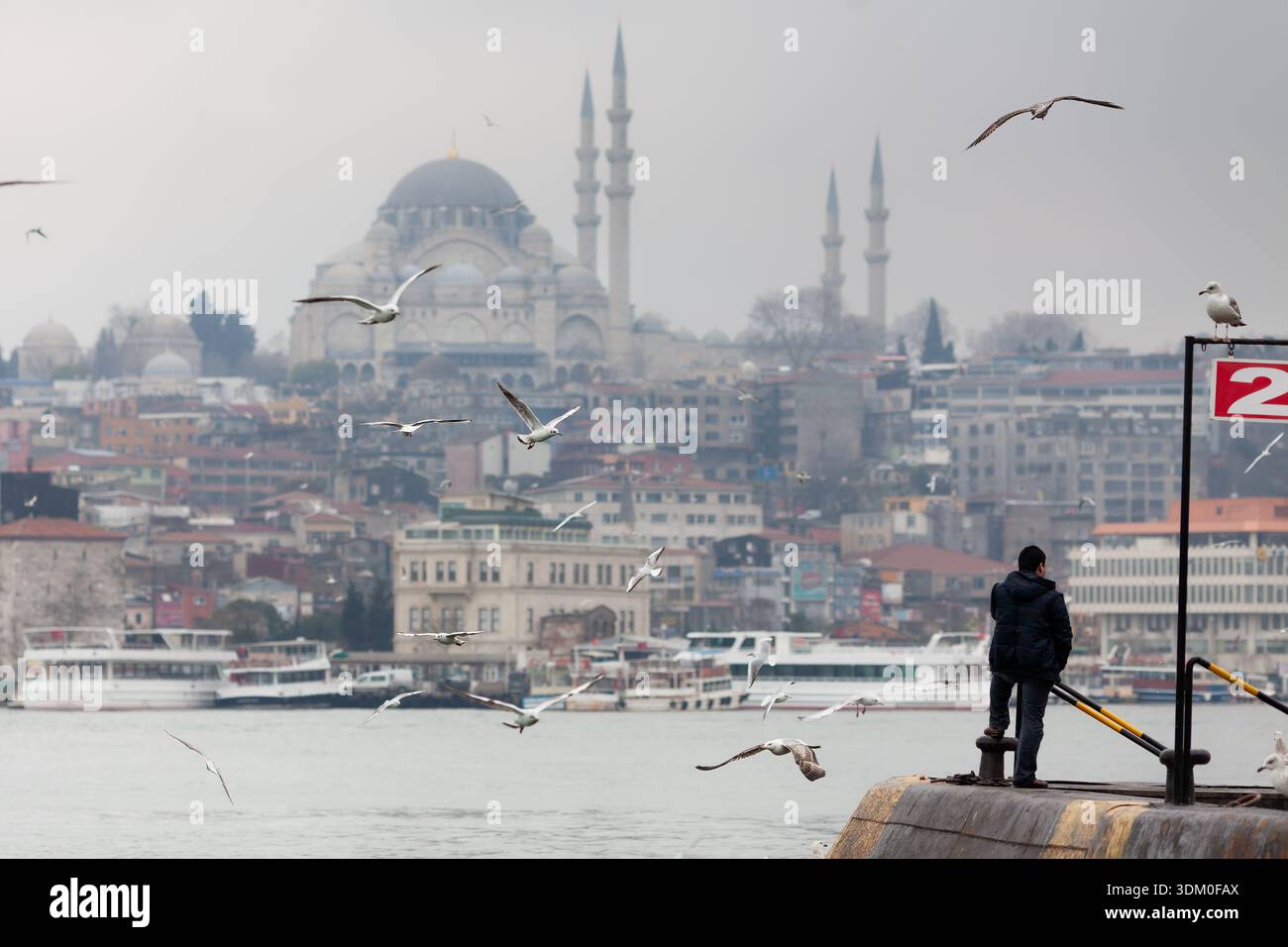 Man Standing by the Waterfront with Istanbul Skyline in the Background ...