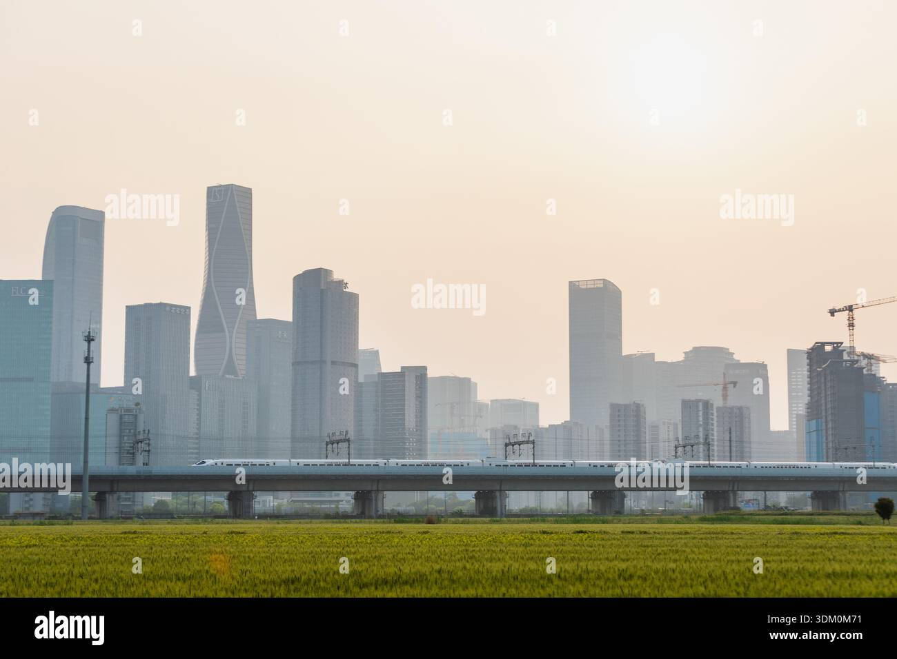 The CBD high-rise buildings in the distance of the wheat field with a ...