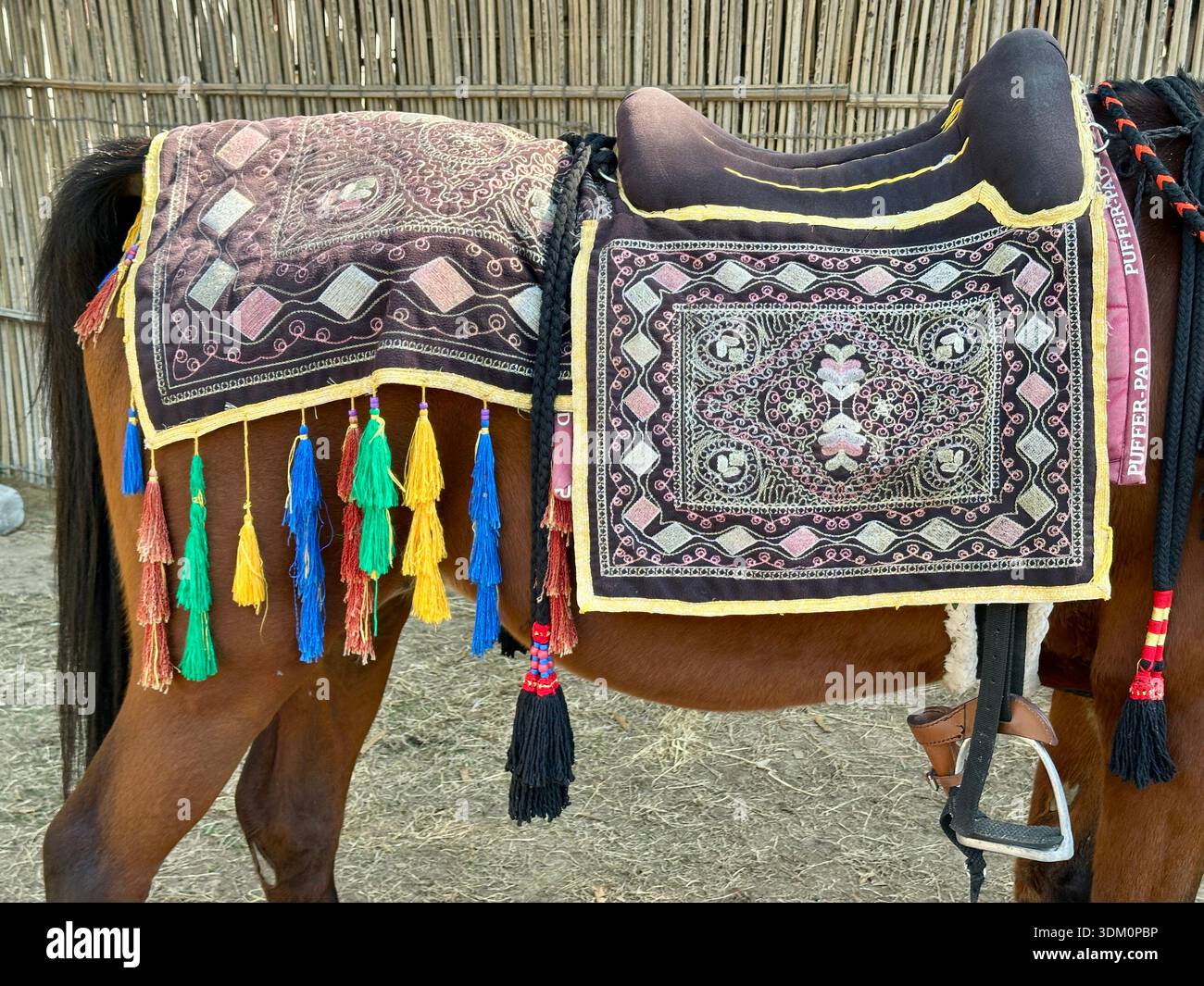 traditional Emirati horse saddle Stock Photo - Alamy