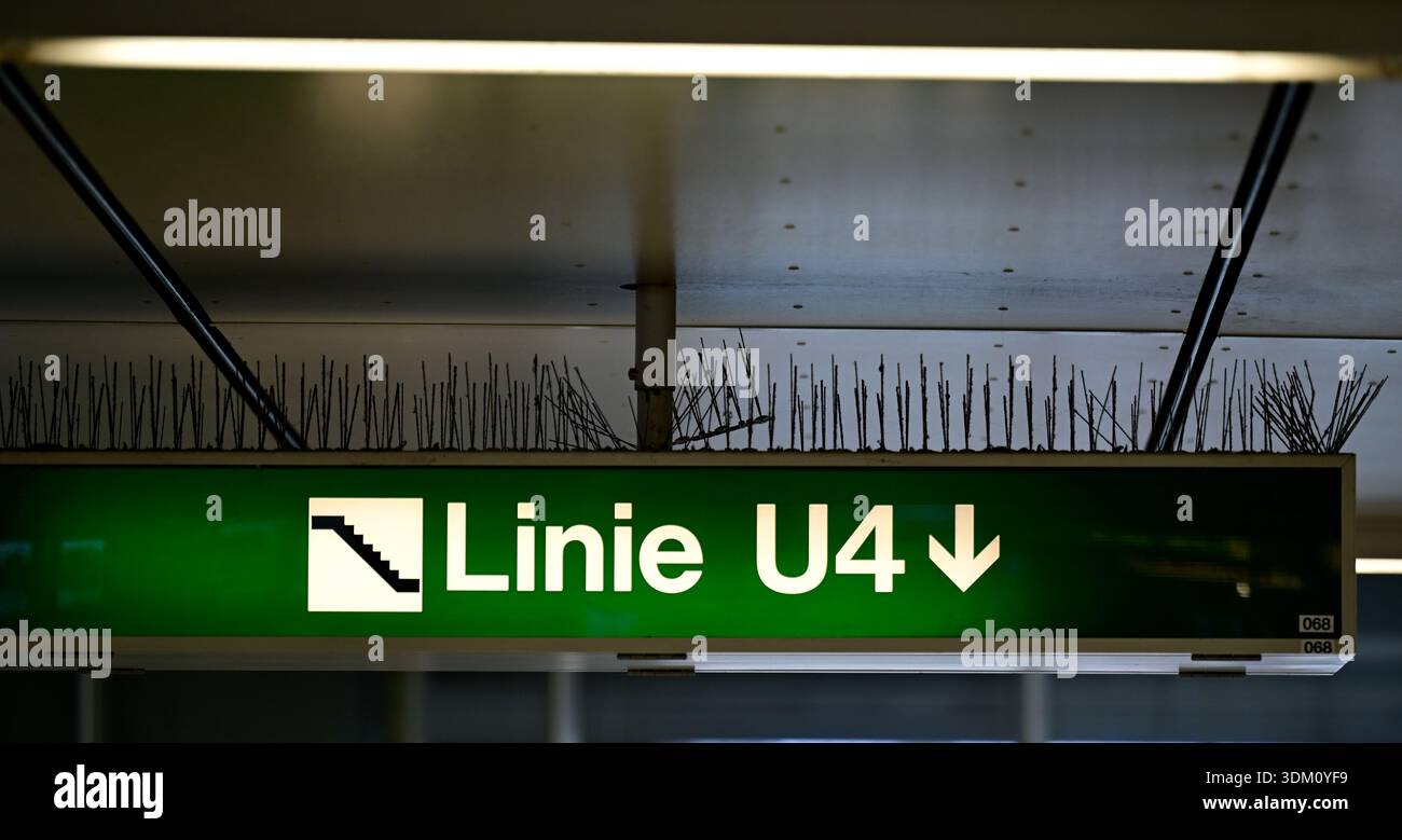 THEME PICTURE - The logo of the U4 underground line at an underground ...