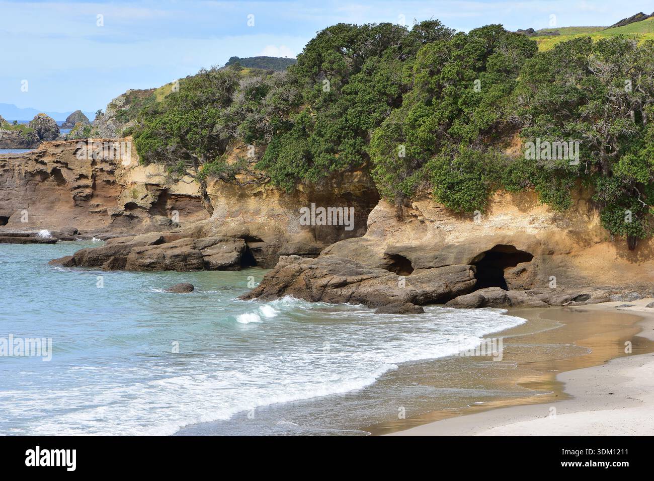 Coastal rocky cliffs with small caves exposed during outgoing tide ...