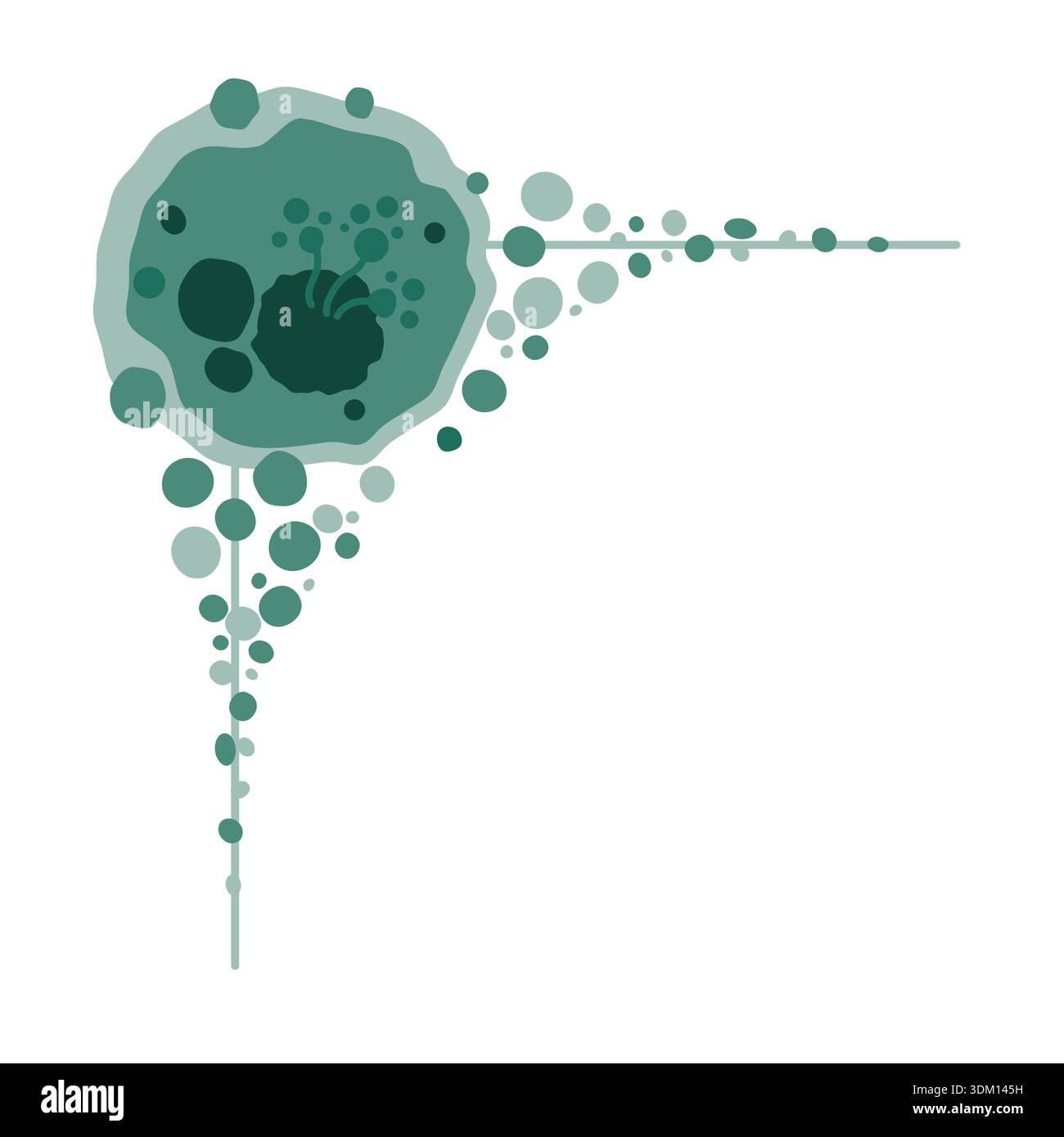 Green mold and fungal spores frame. Vector illustration Stock Vector ...