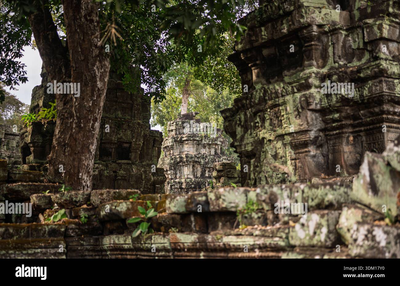 Architectural framing theme depicting perspective of Khmer religious ...