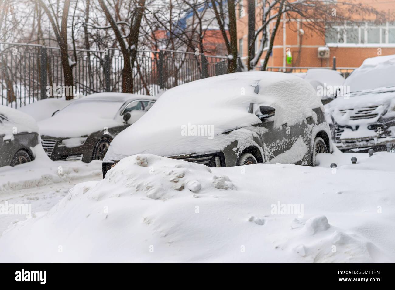 Cars covered with deep snow parked in residential yard during heavy ...