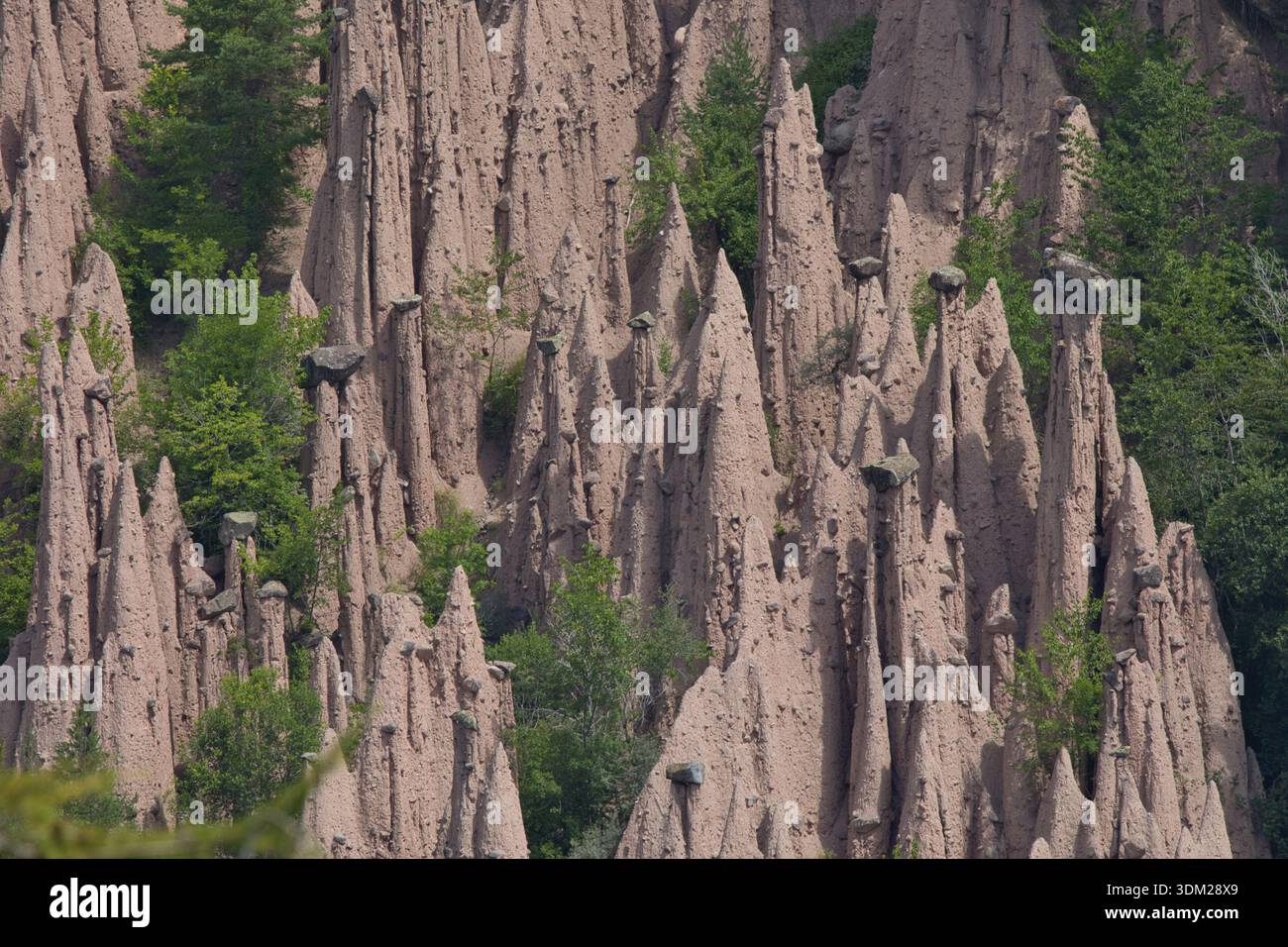 Earth pyramids of Ritten in South Tyrol, Italy Stock Photo - Alamy