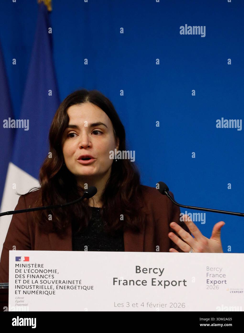 Dorothee Rouzet Head Economist of the General Directorate of Treasury ...