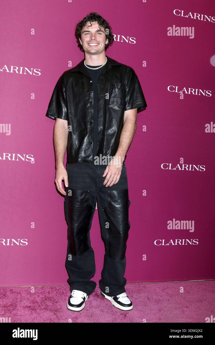 LOS ANGELES - JAN 29: Nick Vans at the Clarins' Sugar and Shine ...