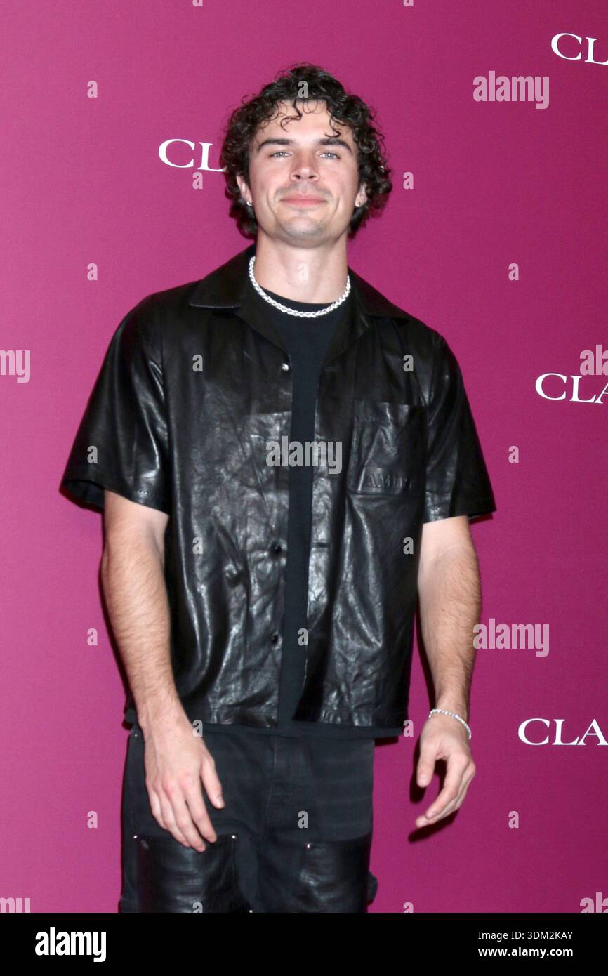 LOS ANGELES - JAN 29: Nick Vans at the Clarins' Sugar and Shine ...