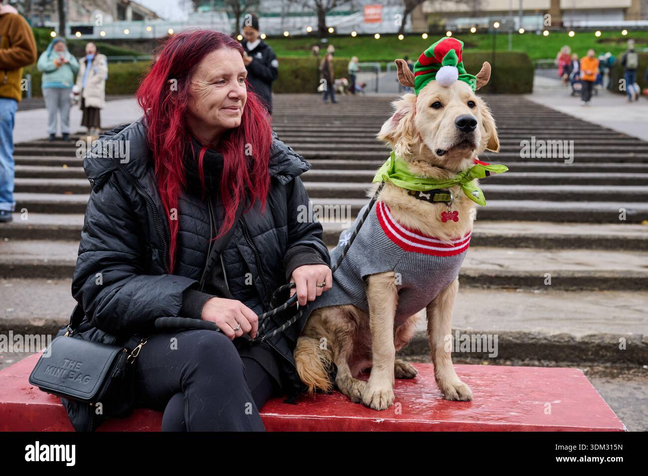 Edinburgh Christmas Santa Run and Santa Paws Stock Photo - Alamy