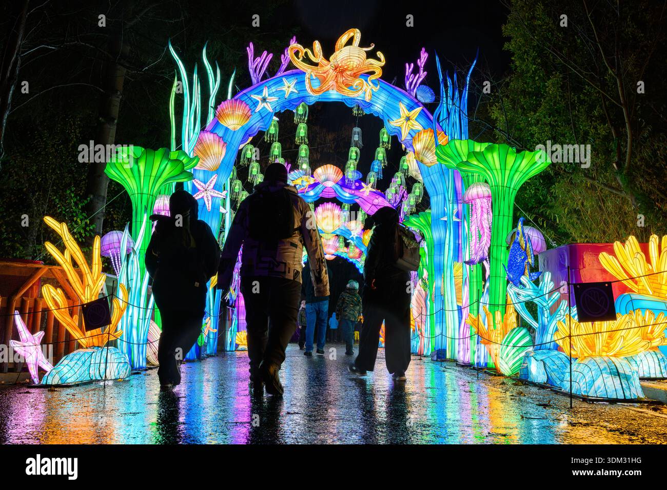 Edinburgh Zoo, Giant Lanterns Trail Stock Photo - Alamy