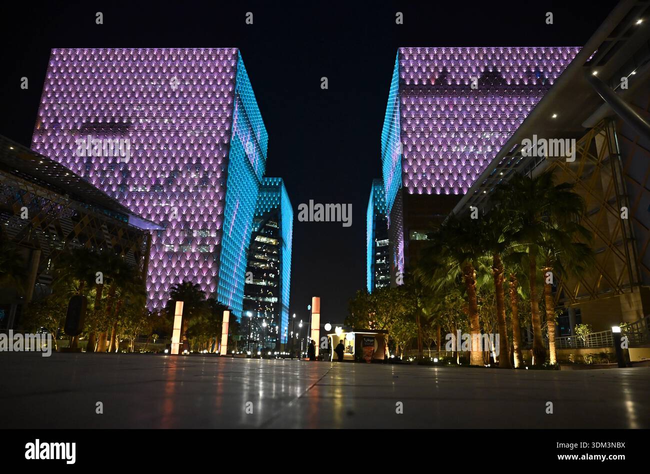 31 January 2026, Saudi Arabia, Riad: View of the illuminated buildings ...