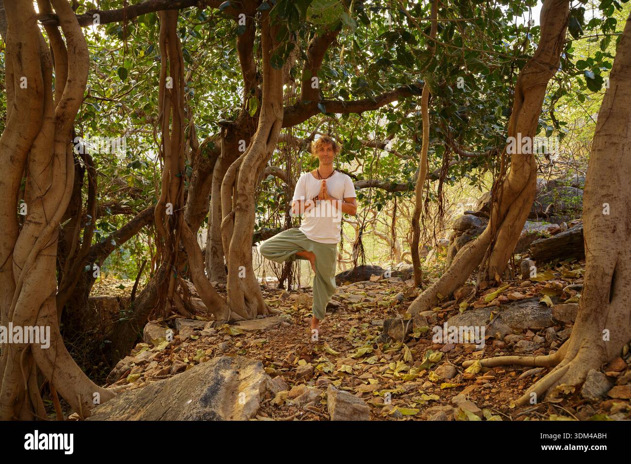 Adult white male Yogi practicing Yoga in Vriksasana - tree pose ...