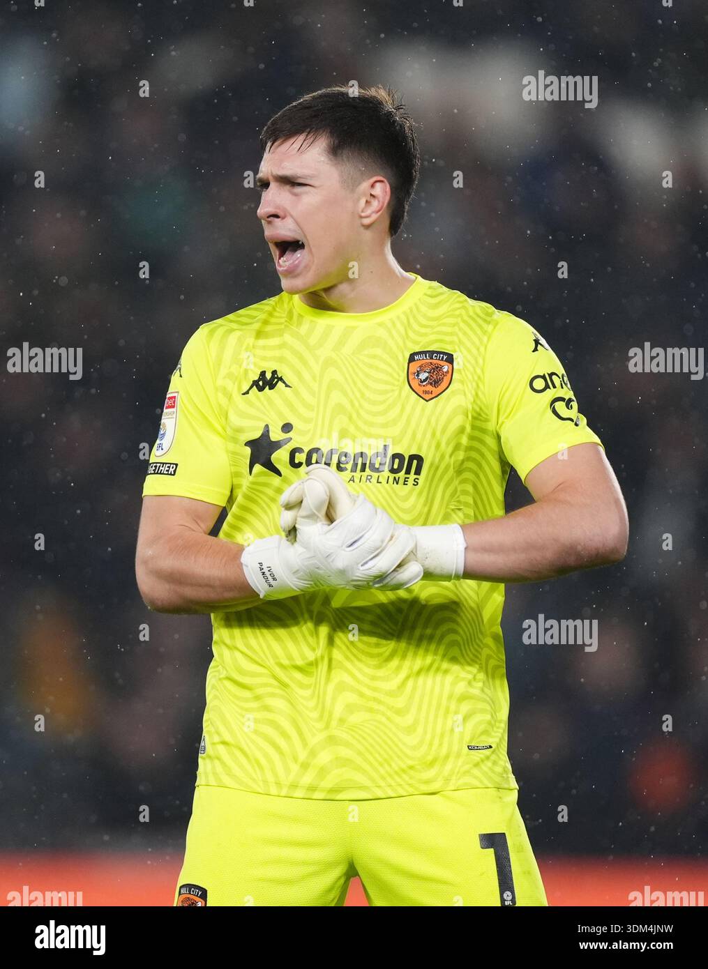 Hull City goalkeeper Ivor Pandur during the Sky Bet Championship match ...