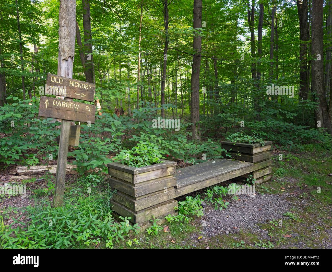 An old trailside bench with planters and trail signs along a wooded ...
