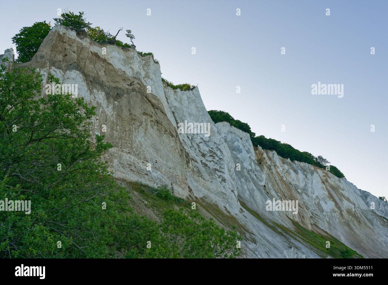White chalk cliffs of Mons Klint stretch along the Baltic Sea ...