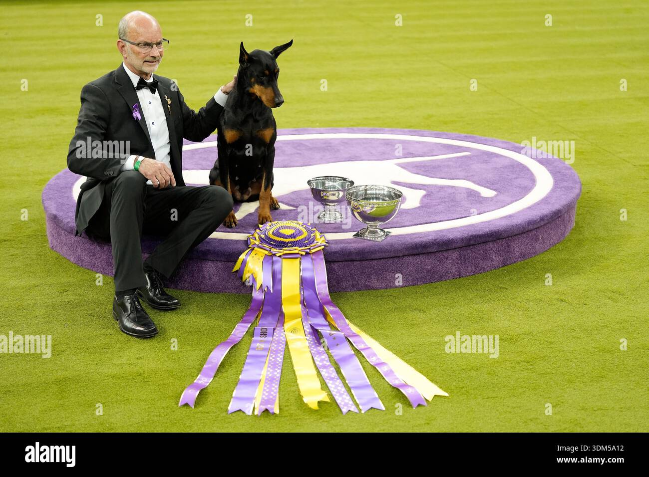 Penny, a doberman pinscher, poses for photos with handler Andy Linton ...