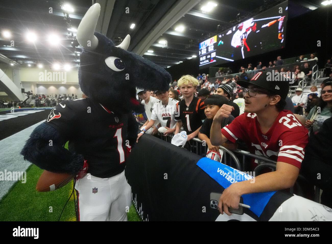 The Houston Texans mascot talks with fans during the NFL Pro Bowl ...