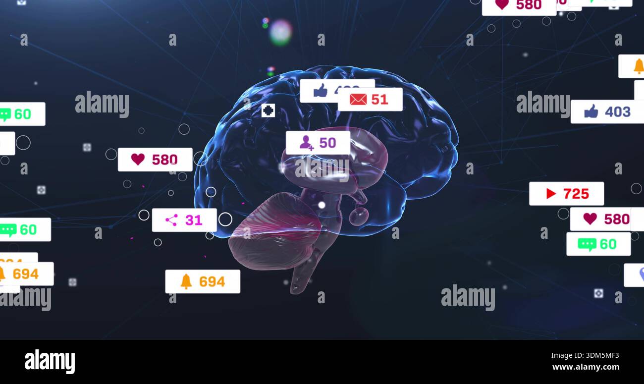 Floating clear brain model hi-res stock photography and images - Alamy