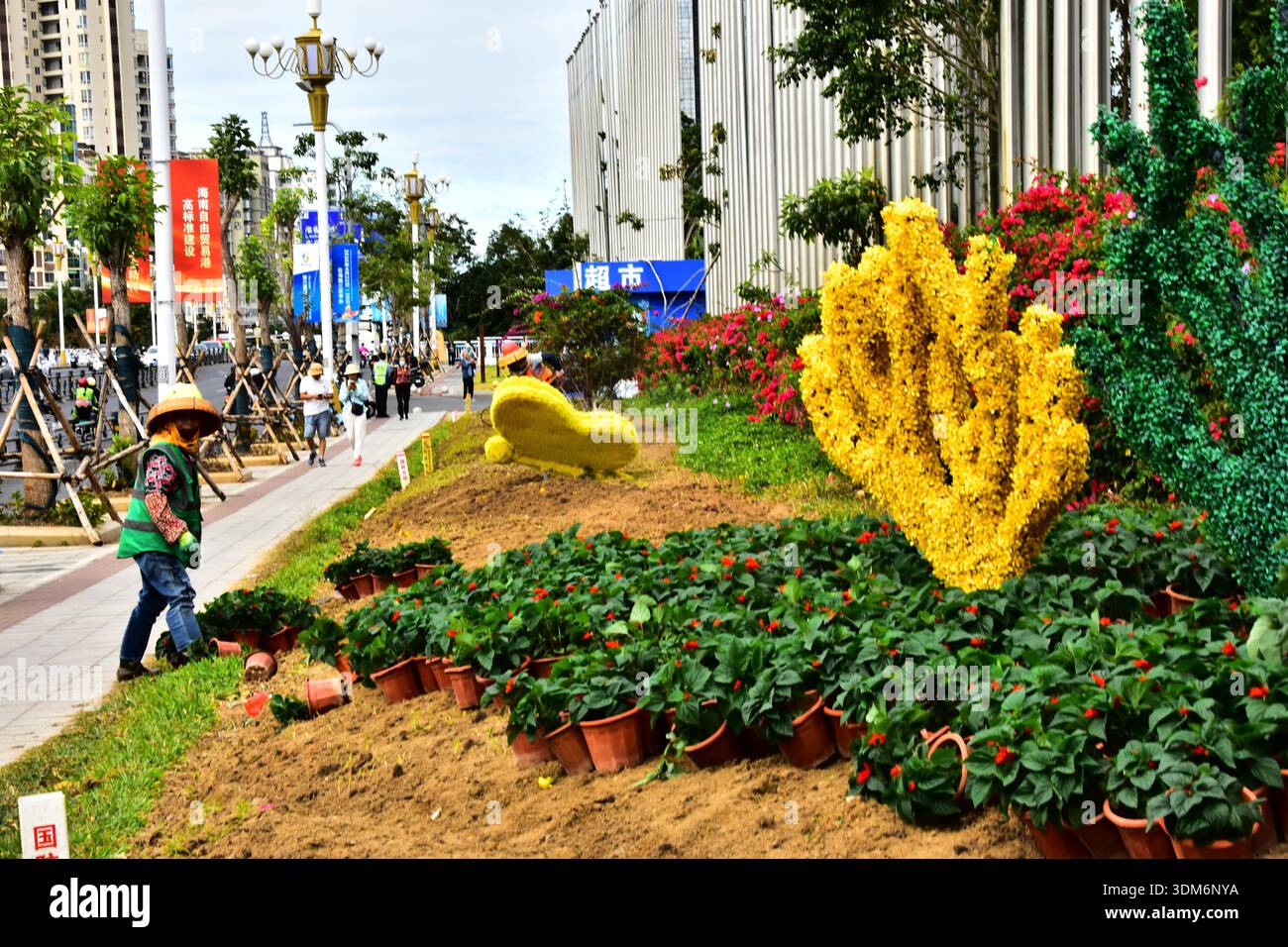 Gardeners decorate the flower bed at Fenghuang Road intersection in ...