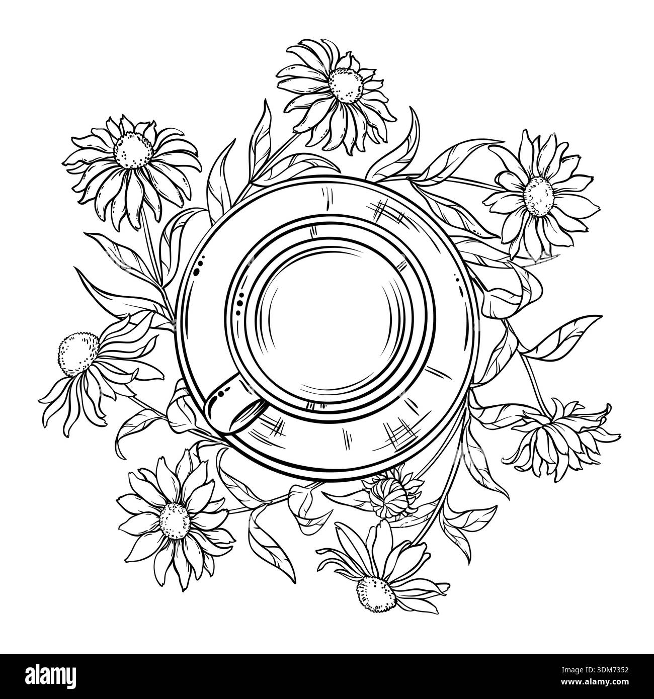 Echinacea flowers tea leaves hi-res stock photography and images - Alamy