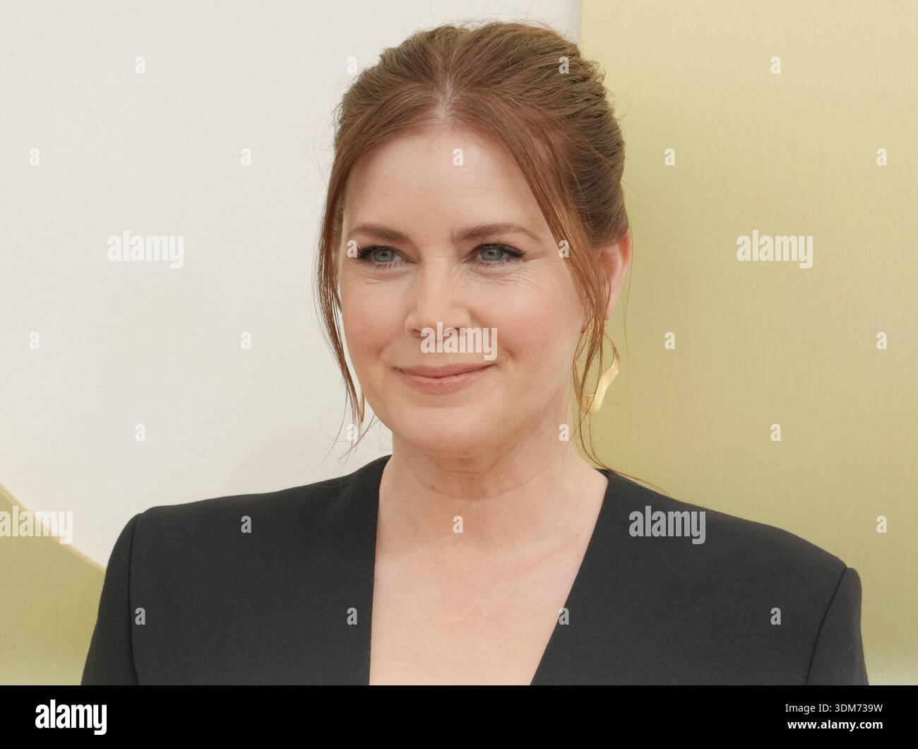 Amy Adams at the APPLE TV Press Day held at the Santa Monica Barker ...