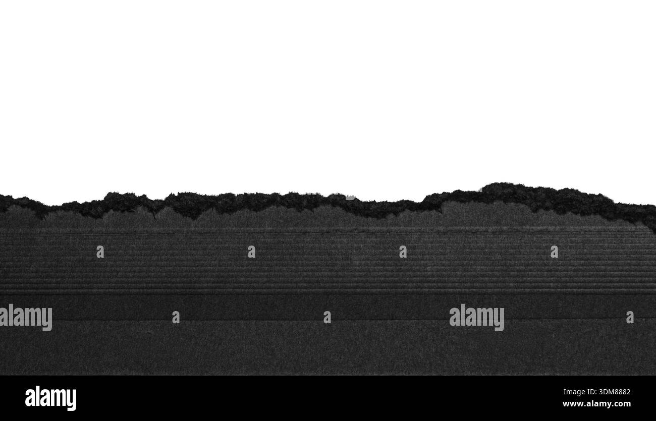 Black Torn Paper Edge with Horizontal Lines on White Background Stock ...