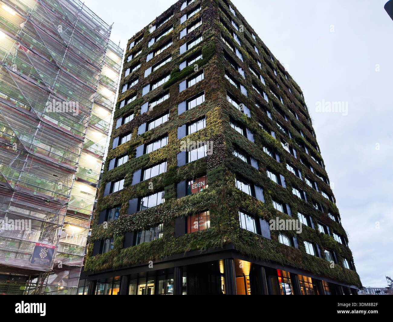 Manchester, UK - January 21, 2026: Ivy clad office tower Eden in ...