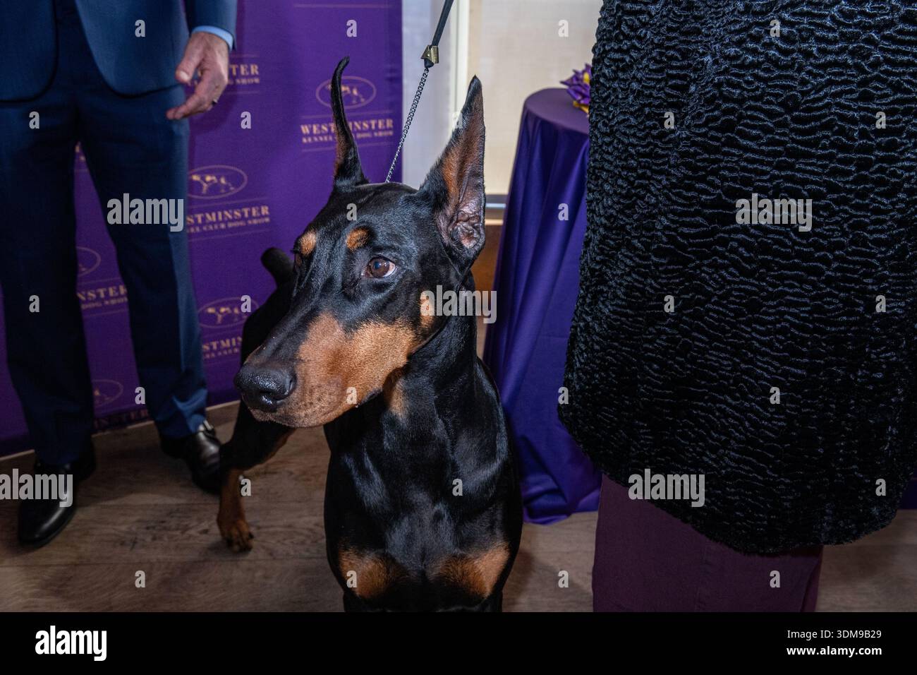Westminster Kennel Club Dog Show Champions Lunch was served following ...