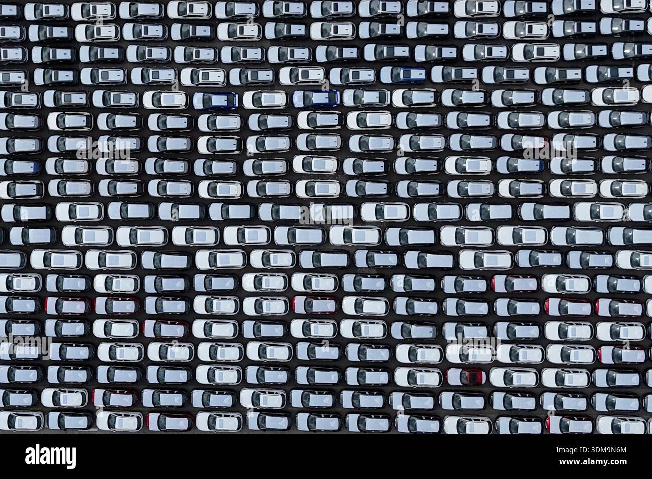 An aerial view of new cars line up at a lot at Panama Canal's Port of ...
