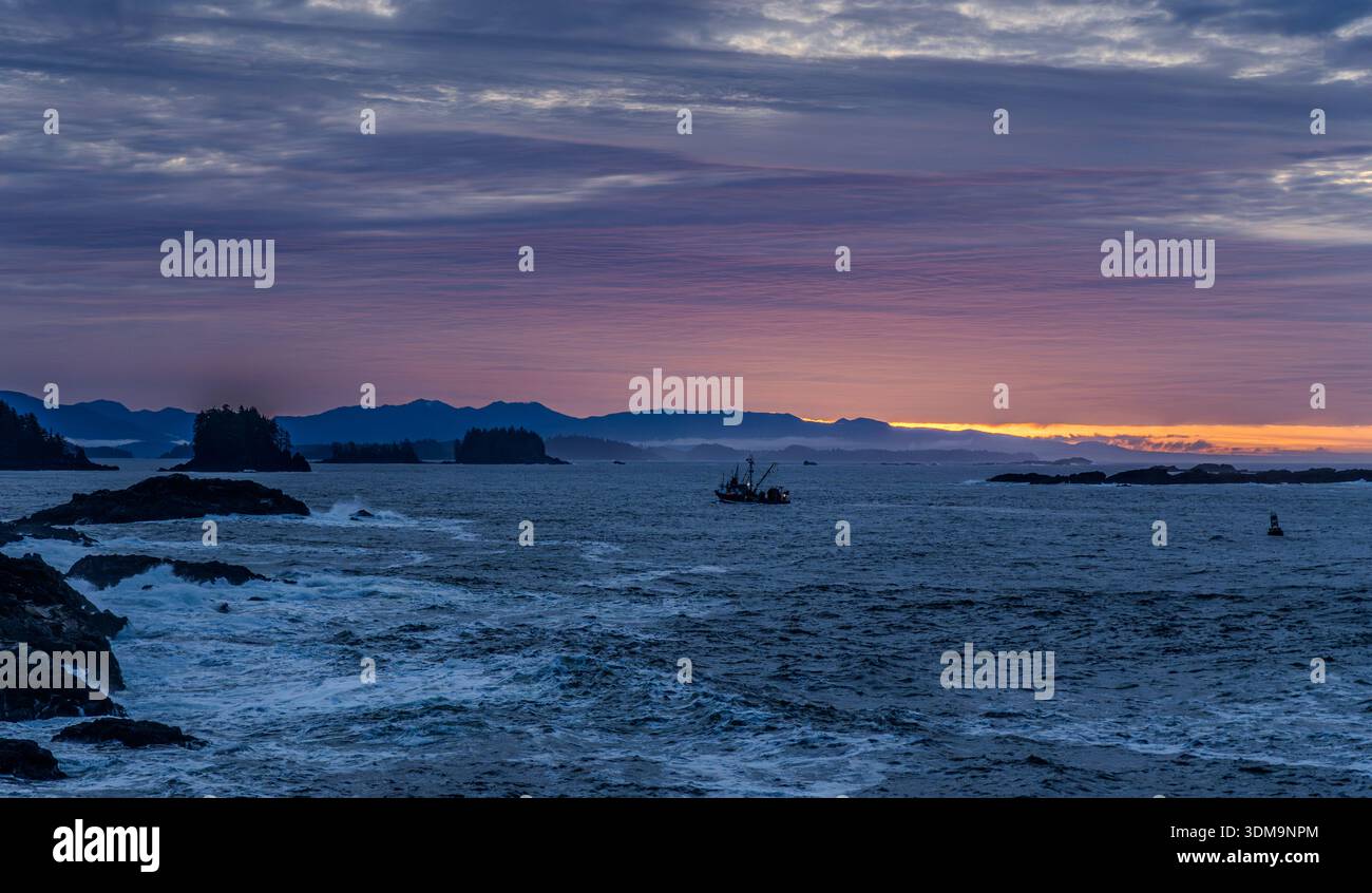 Victoria barkley hi-res stock photography and images - Alamy