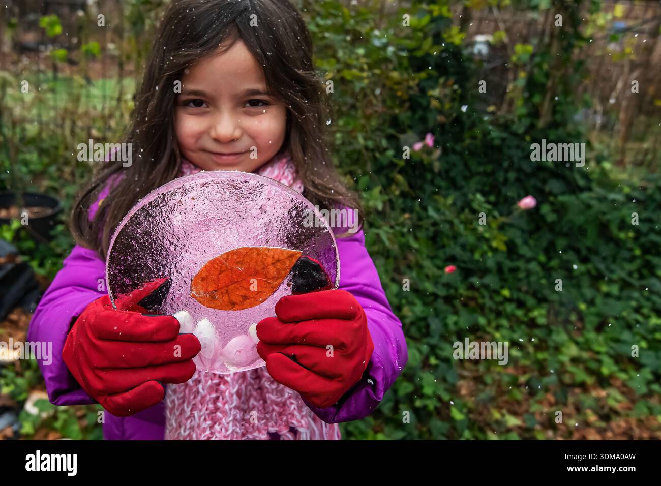 Backyard winter art project hi-res stock photography and images - Alamy