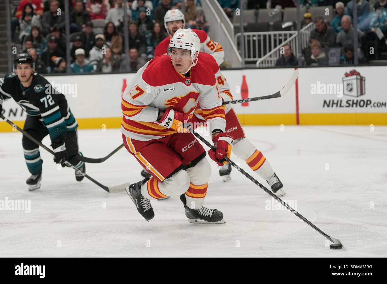 Calgary Flames center Yegor Sharangovich (17) during an NHL hockey game ...