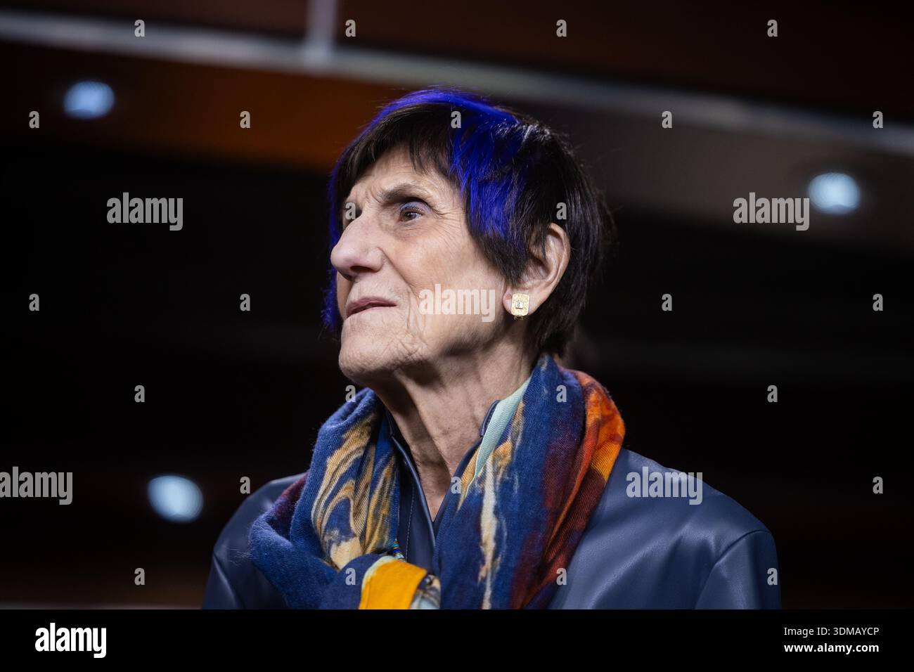 Rep. Rosa DeLauro (D-Conn.) looks on during a press conference on ...