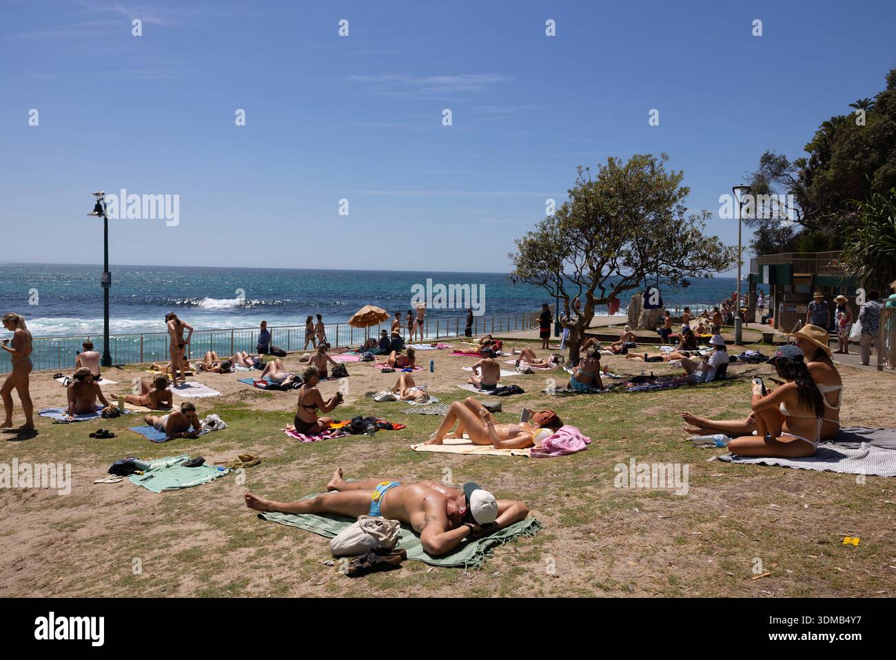 People sun bake during a heatwave at Bronte Beach in Sydney, Thursday ...