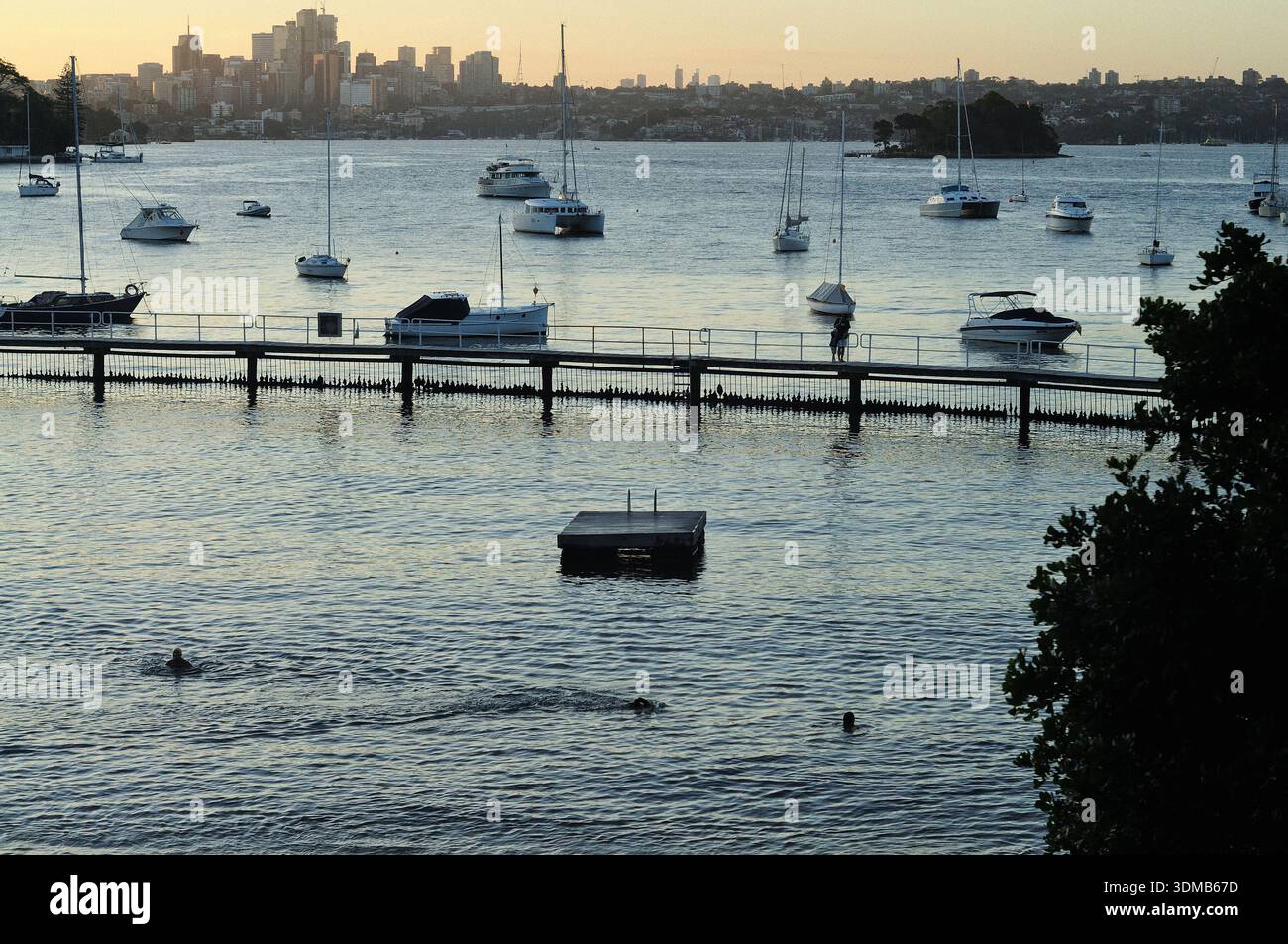 Sydney, Australia, harbour swimmers at dusk, Murray Rose Pool, boats ...