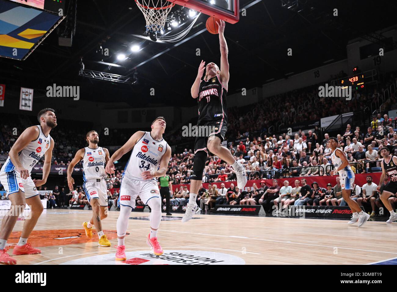 Daniel Grida of the Hawks during the NBL Round 20 match between the ...