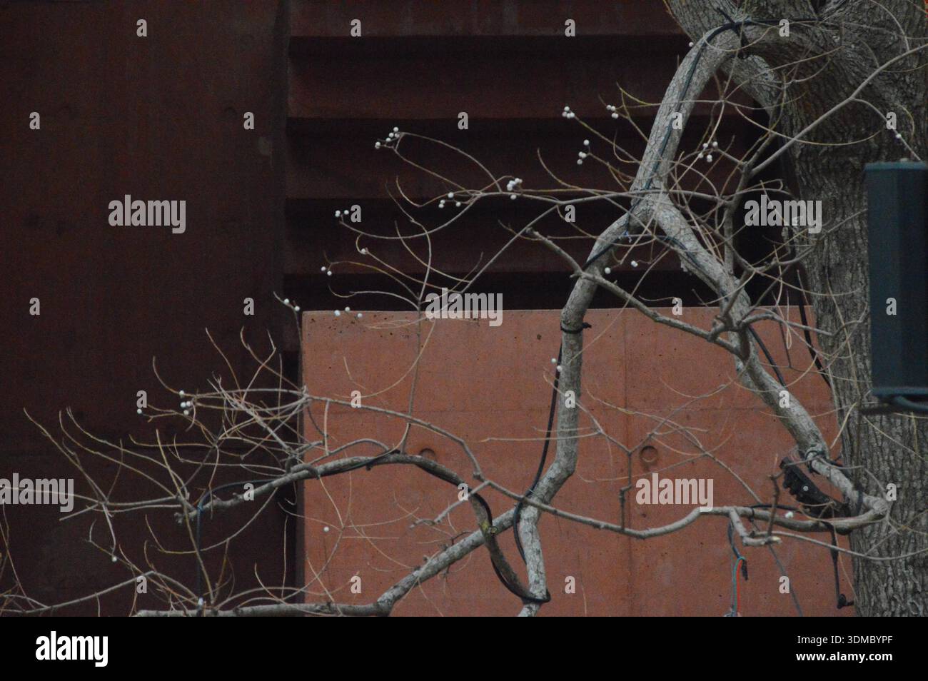 The EKA Tianwu block is decorated with festive installations for the ...