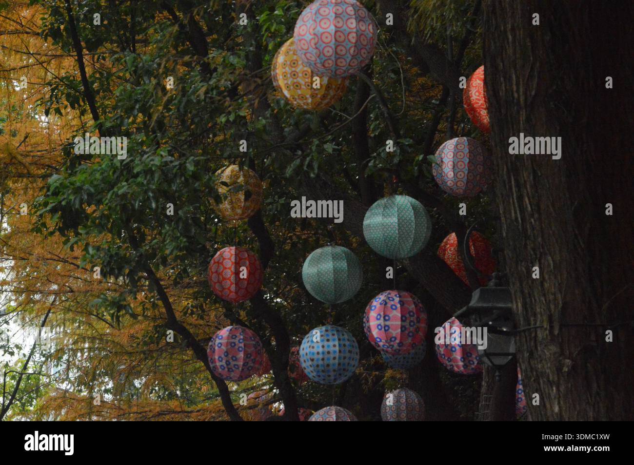 The EKA Tianwu block is decorated with festive installations for the ...
